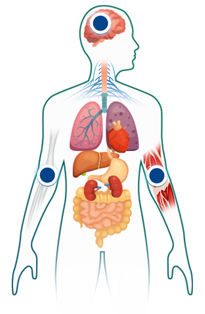 Parásitos y zoonosis en humanos⚠️| Desparasita a tu mascota